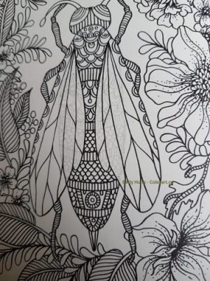 Translucent Effect - Color Art